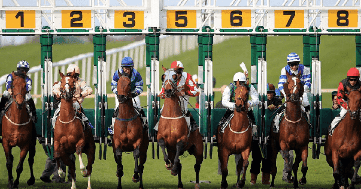 What is a Saver Bet and When to Use One?