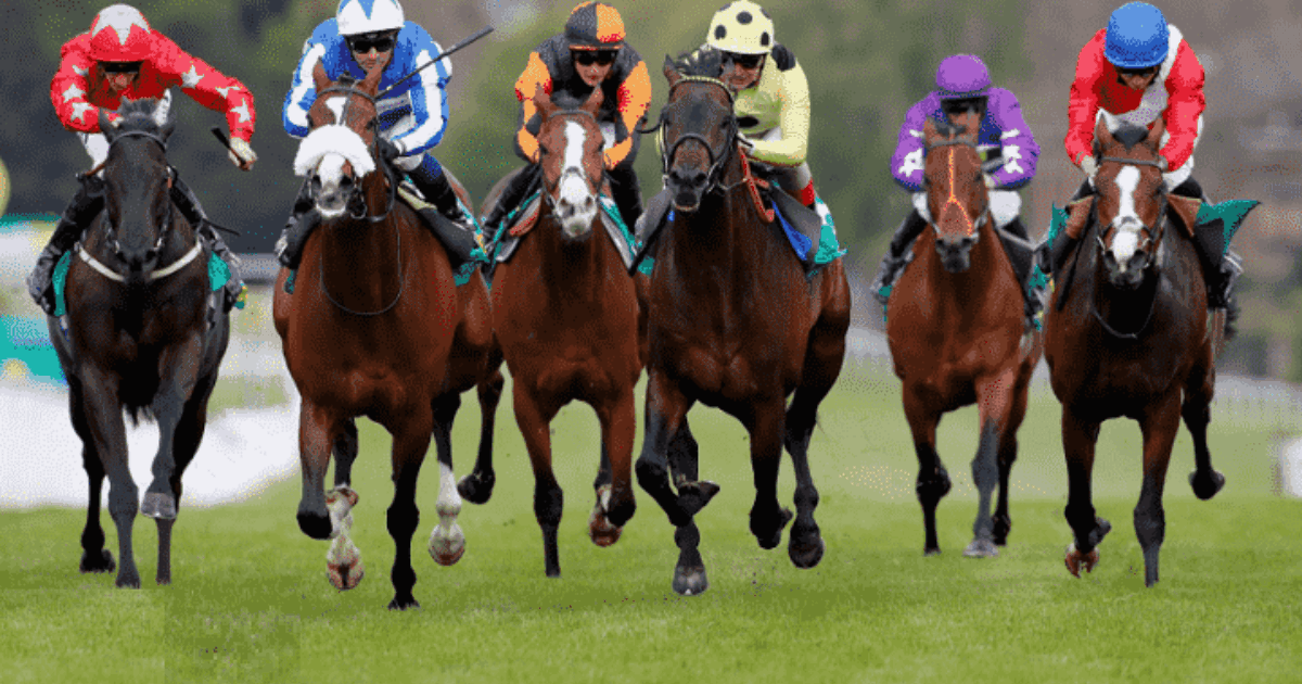 What is a Bad Each Way Race?